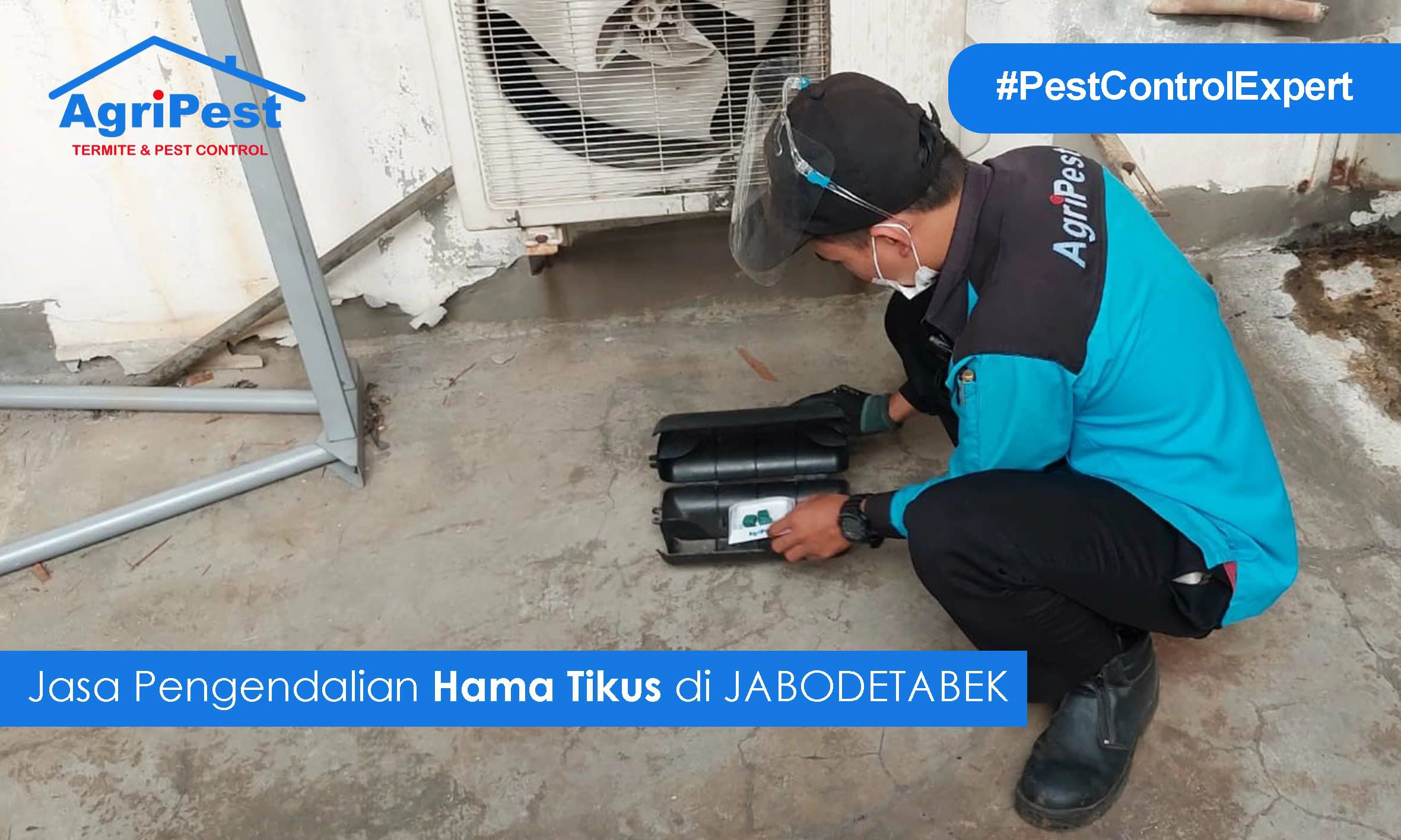 Pengendalian Hama Tikus di Jabodetabek